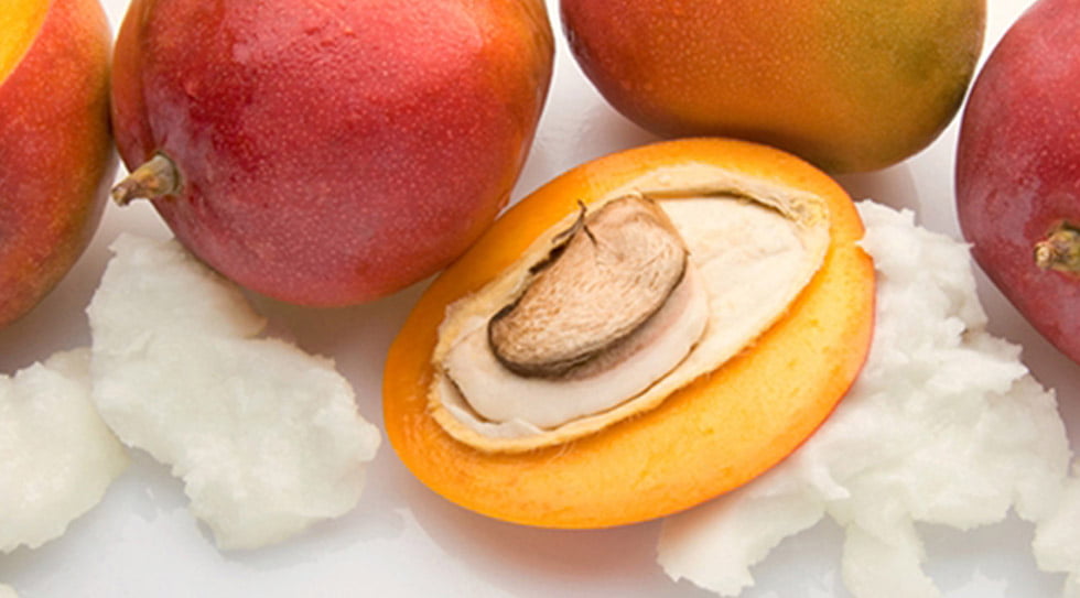 Understanding The Different Butters - Raw Essentials