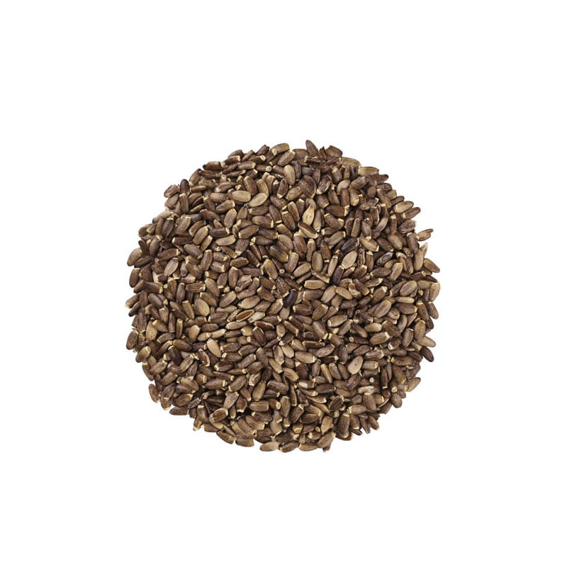 Milk Thistle Seeds - Raw Essentials