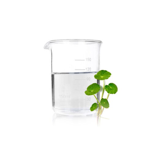 Centella Asiatica Extract – Raw Essentials