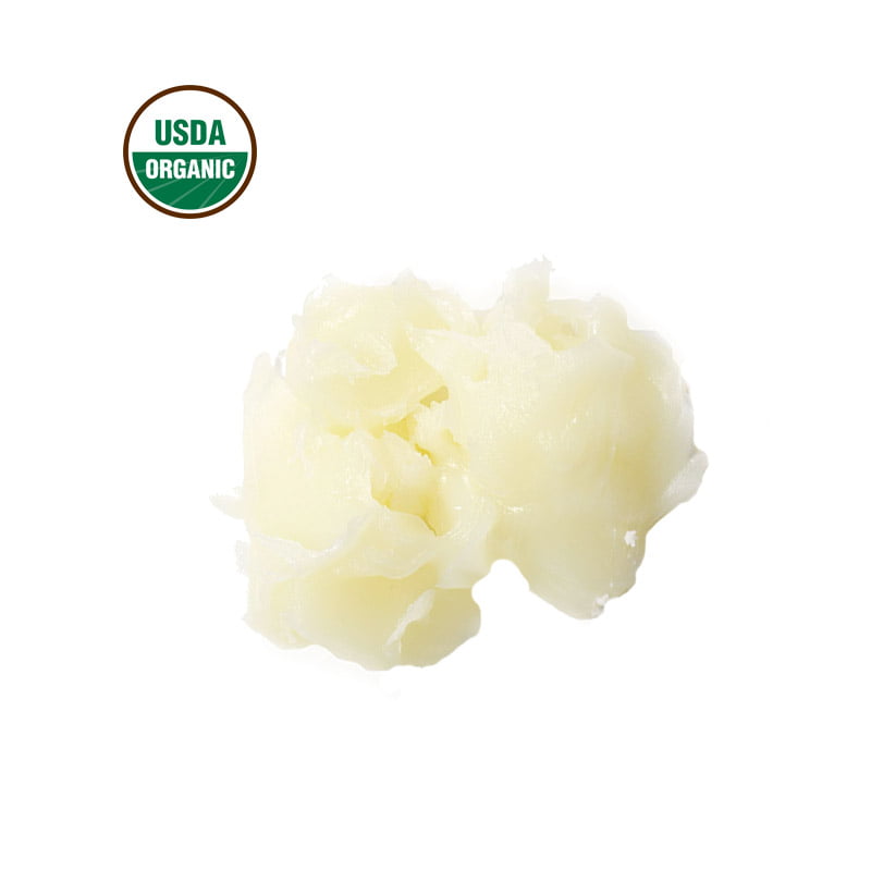 Palm Kernel Oil – Organic – Raw Essentials