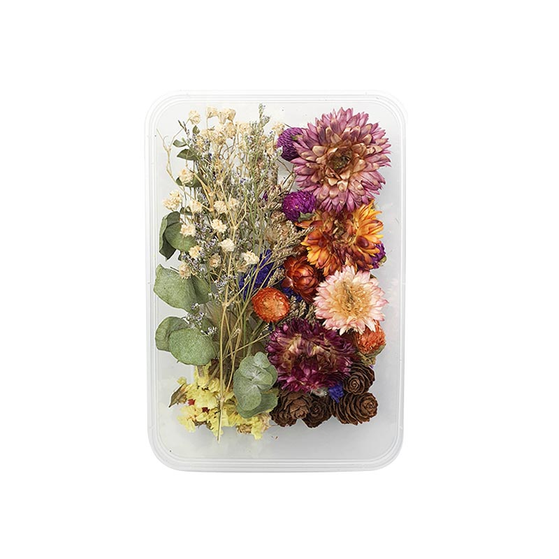 Dried Botanicals Box Mix – Raw Essentials