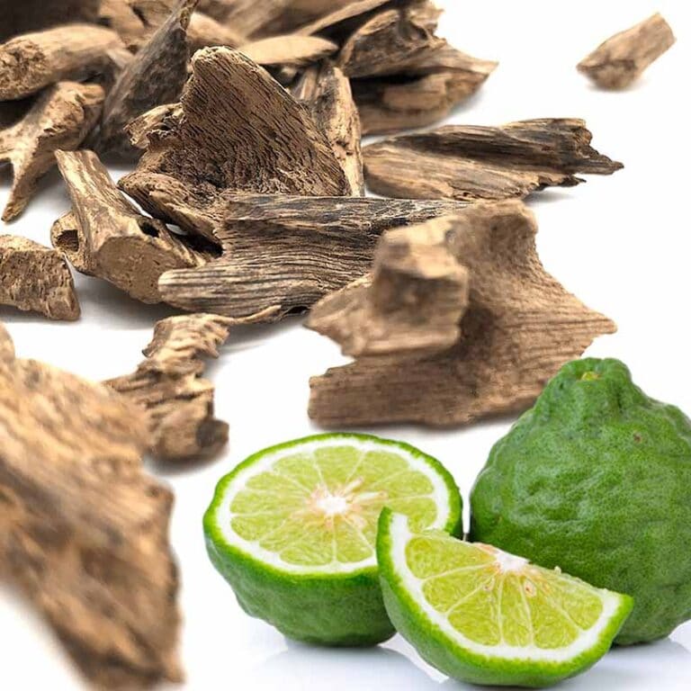 Oud & Bergamot Fragrance Oil - Raw Essentials