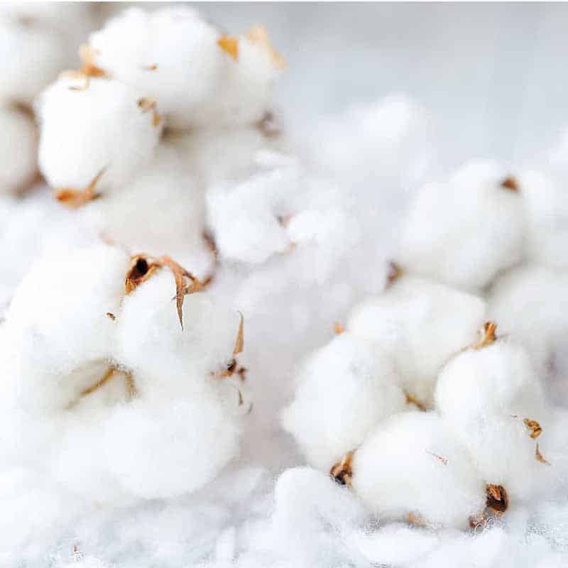 Clean Cotton Fragrance Oil – Raw Essentials
