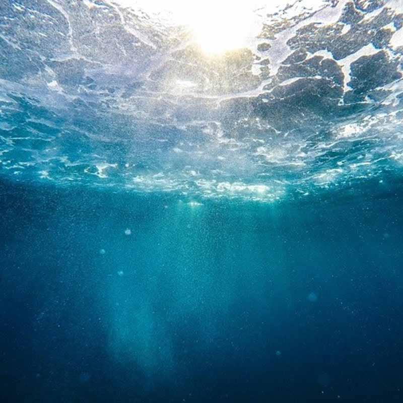 Deep Blue Ocean Fragrance Oil - Raw Essentials