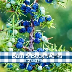 Juniper Breeze Fragrance Oil - Raw Essentials