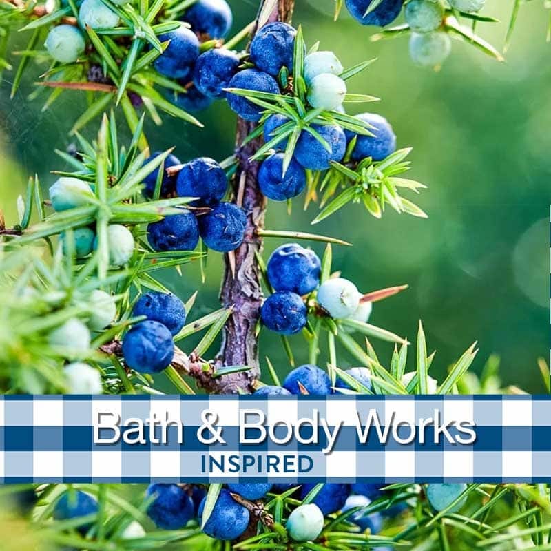 Juniper Breeze Fragrance Oil - Raw Essentials