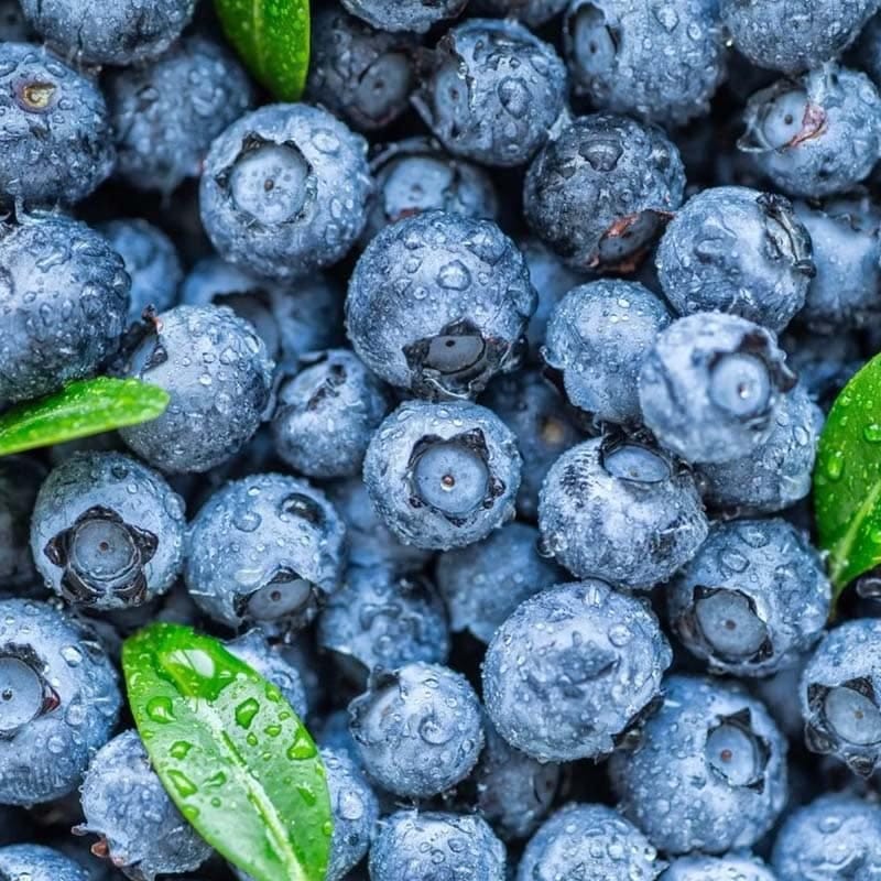 Blueberry Flavour Oil - Raw Essentials