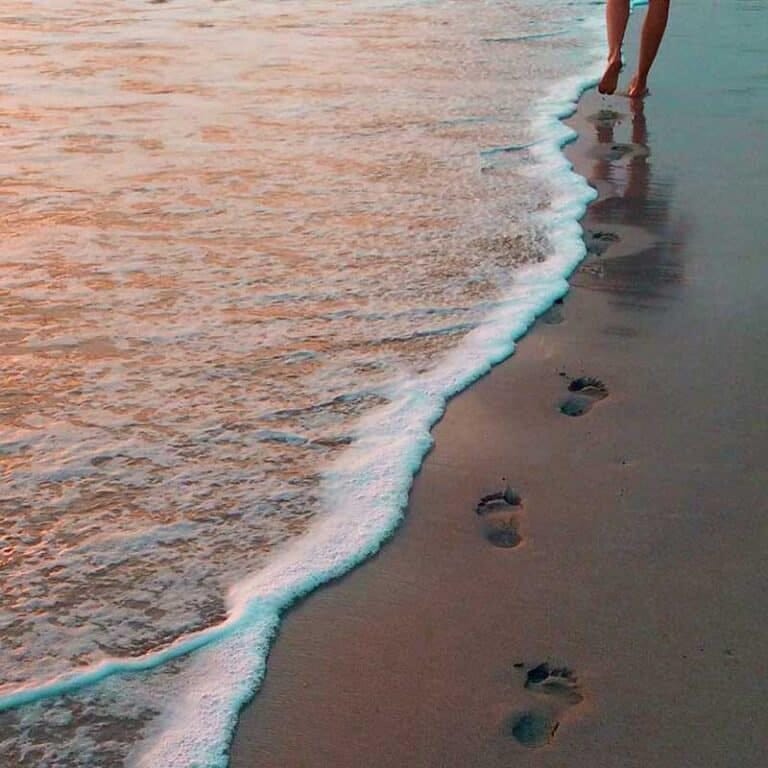 Beach Walk Fragrance Oil - Raw Essentials